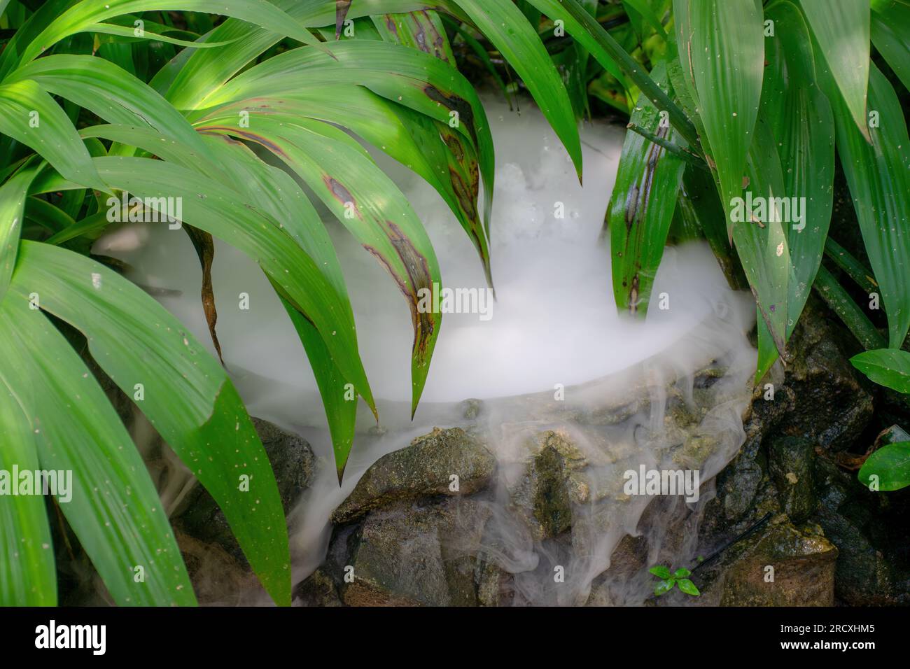 hot spring with bright blue water and hot smoke Stock Photo - Alamy