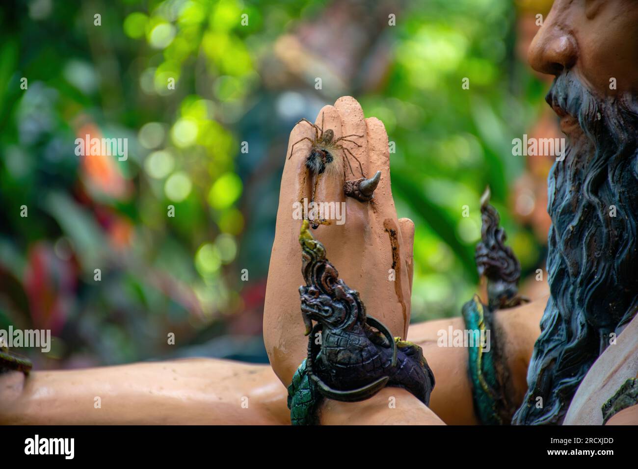 Holy hermit in prayer hi-res stock photography and images - Alamy