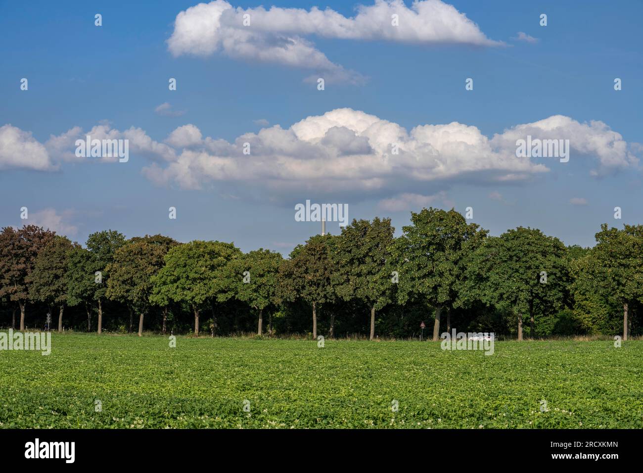Baerl hi-res stock photography and images - Alamy