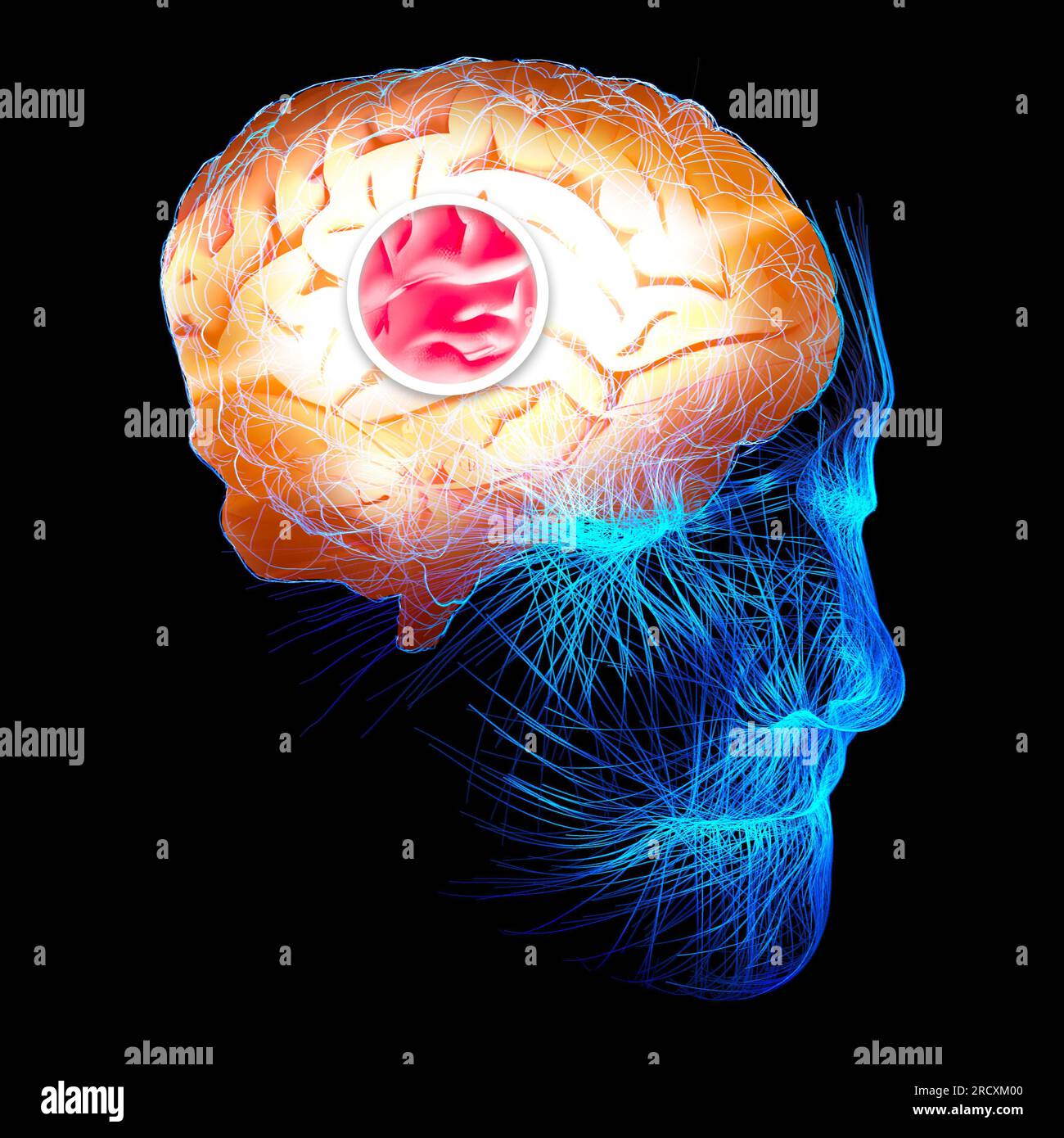 Brain connections. Neurons and synapses. Communication and cerebral ...