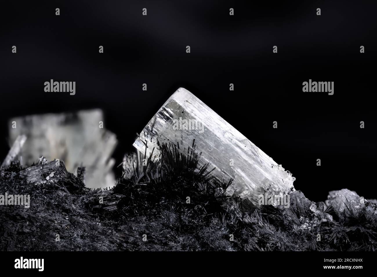 Colorless matrix hi-res stock photography and images - Alamy