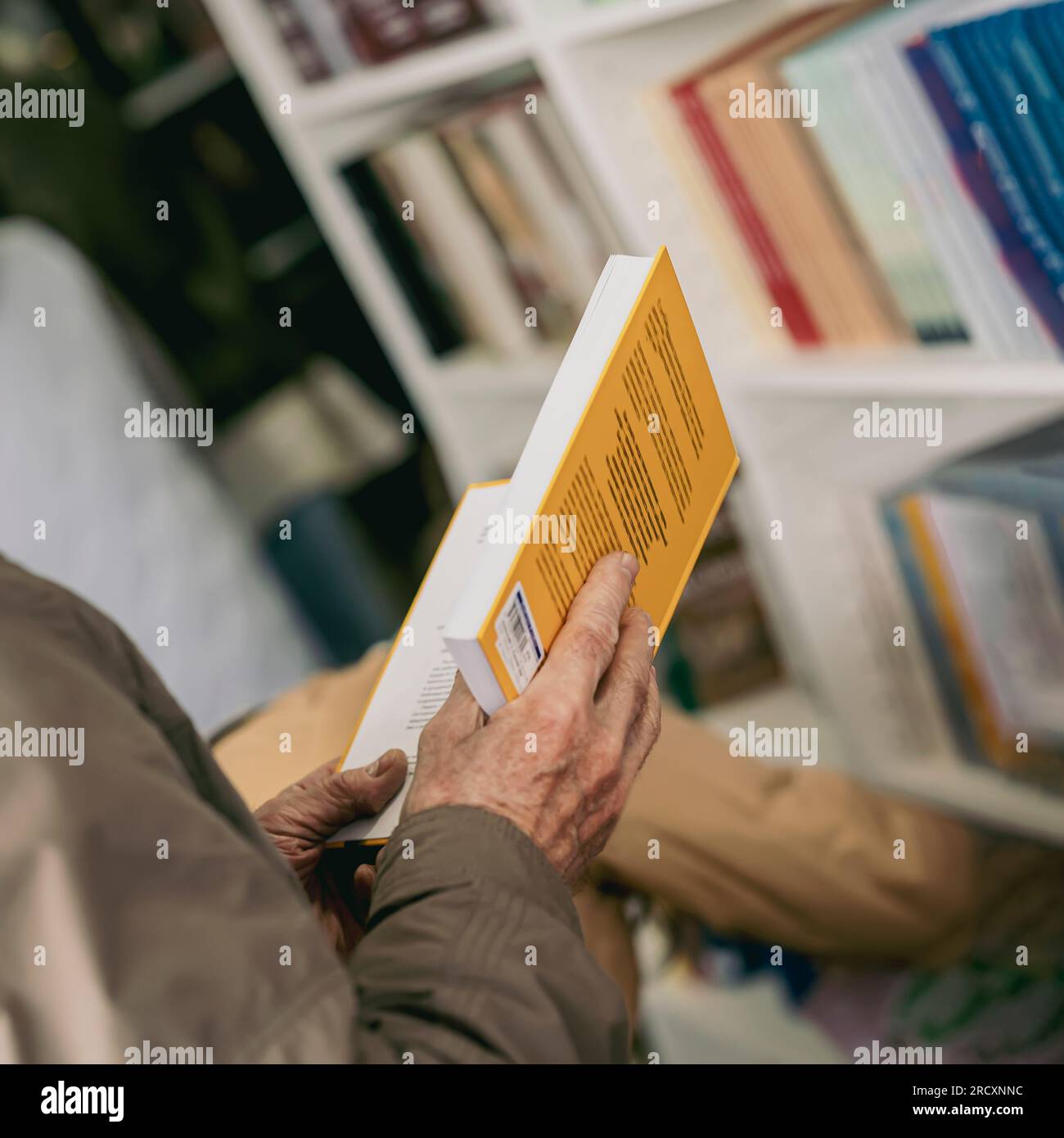 Closeup of man hands with open interesting book, bookstore, selective ...