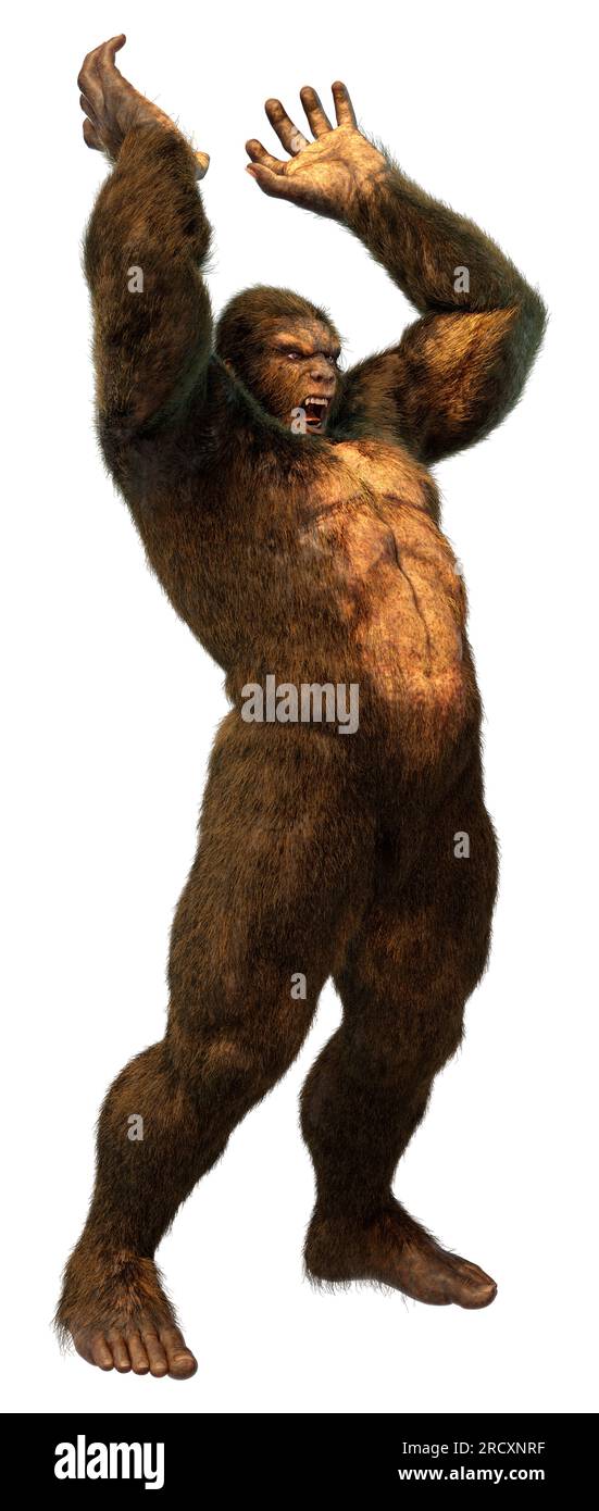 Sasquatch Background