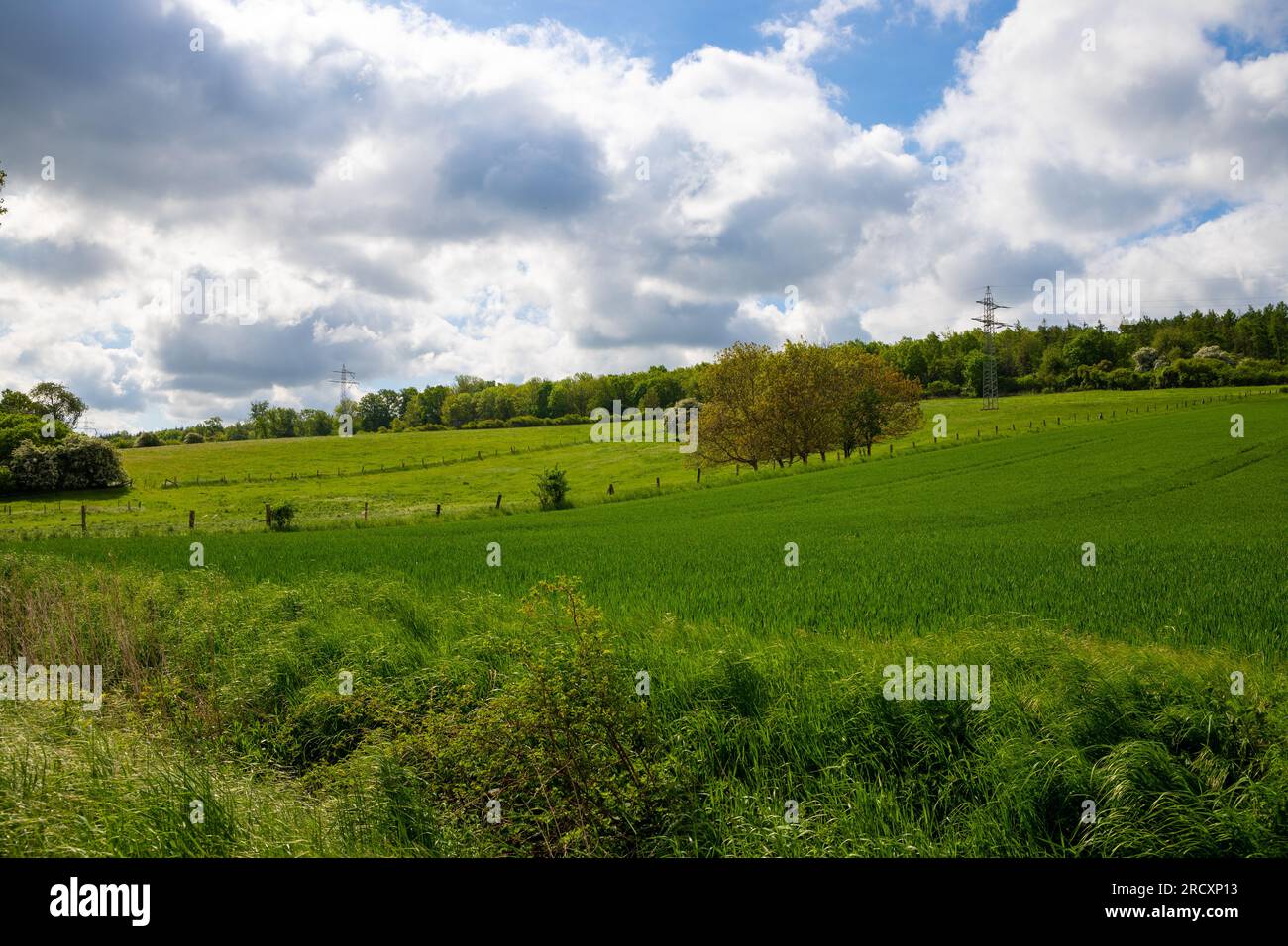 Panorama clouds over grassy hi-res stock photography and images - Alamy