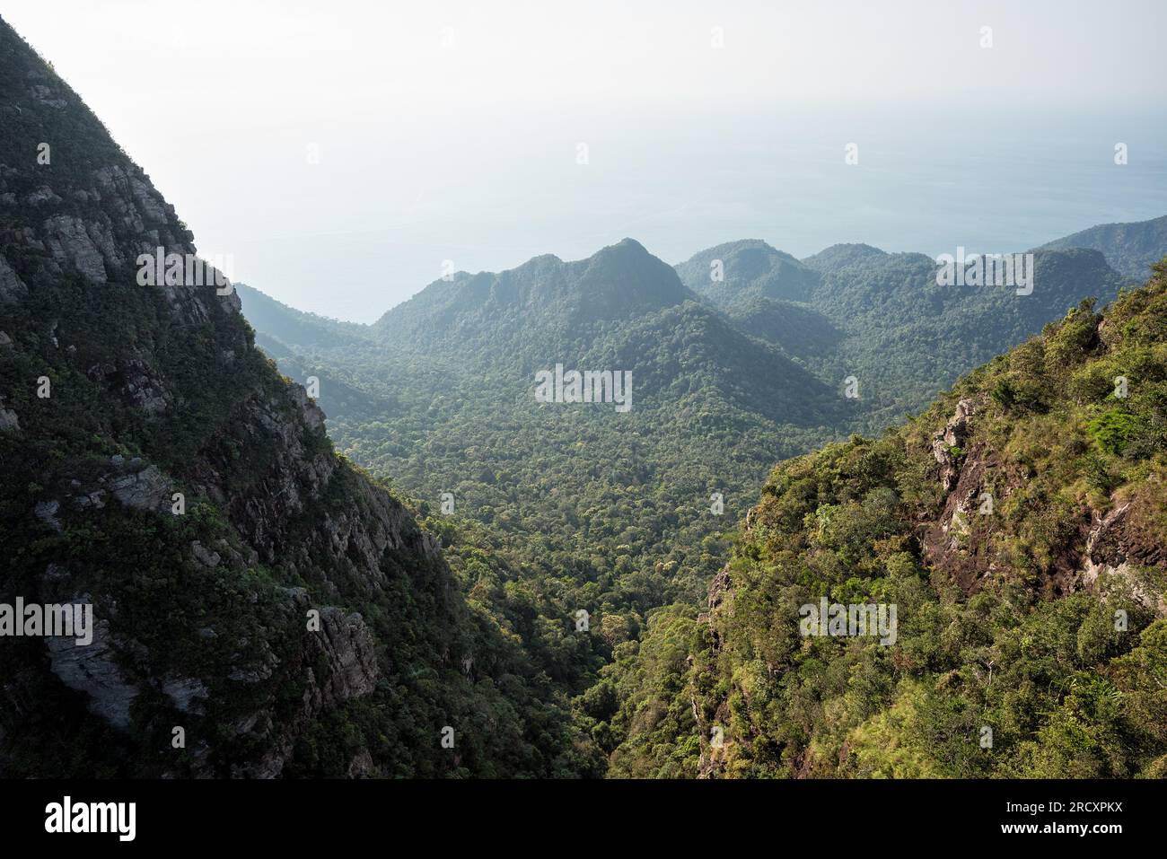 Rainforest Machincang mountain of Langkawi Island, Malaysia - The ...