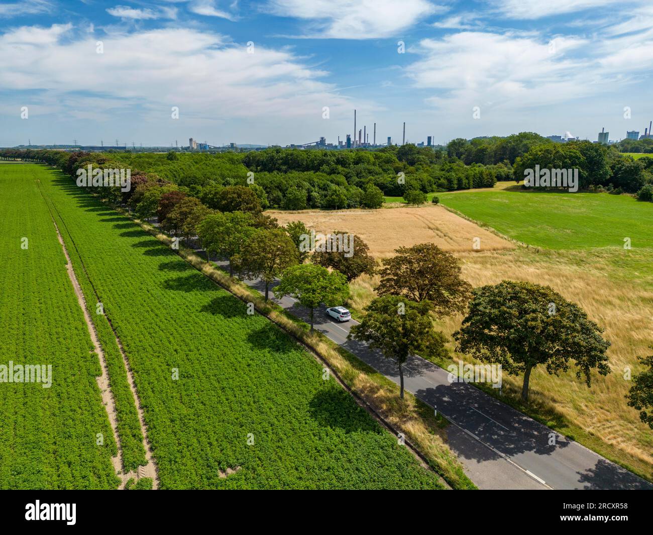 Binsheimer strasse hi-res stock photography and images - Alamy