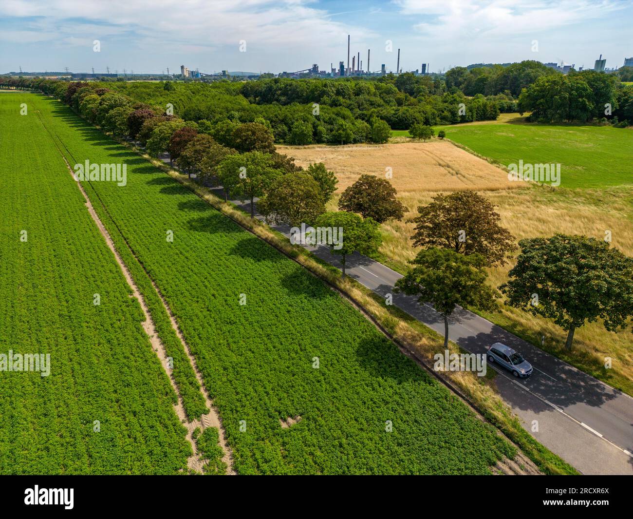 Binsheimer strasse hi-res stock photography and images - Alamy