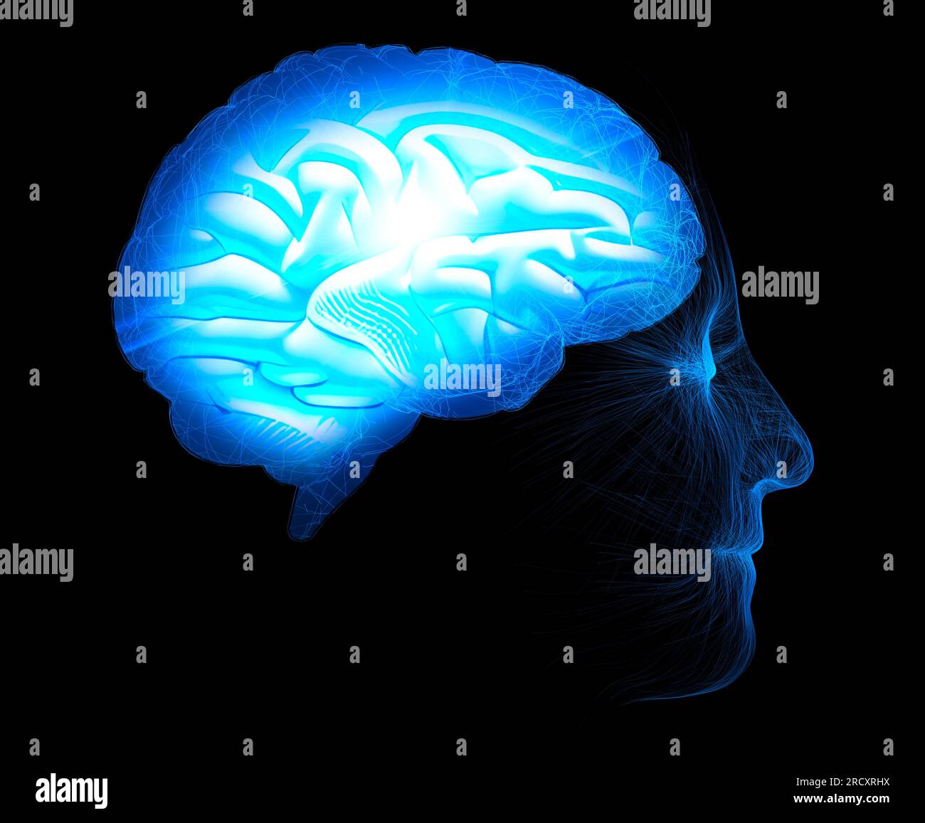 Brain connections. Neurons and synapses. Communication and cerebral ...
