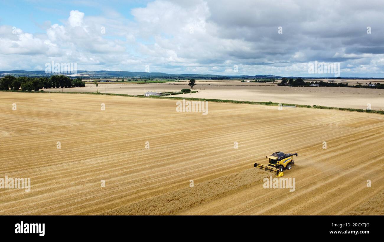 A combine harvester at work in a corn field in Athy, Co Kildare ...