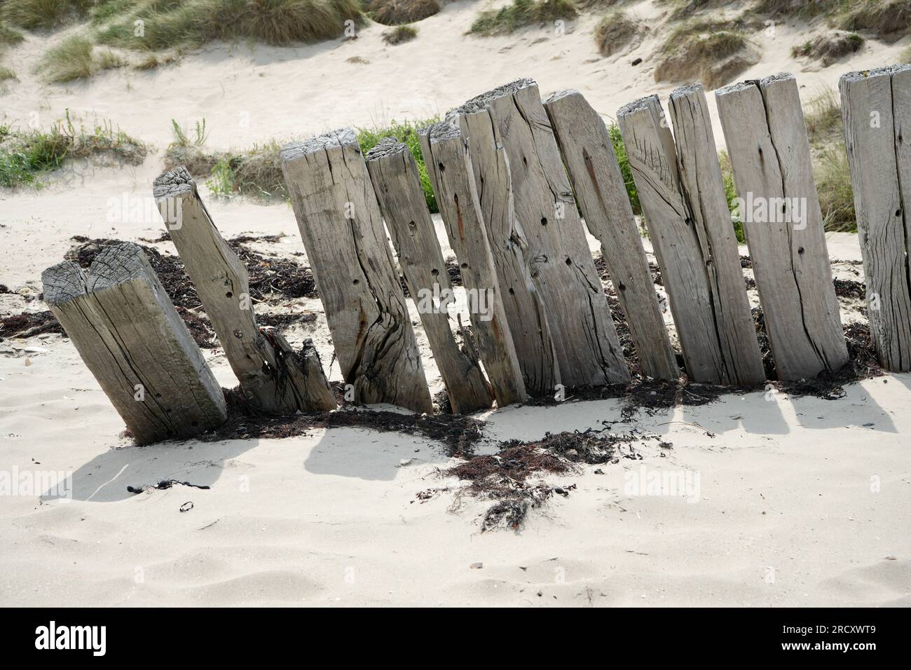 Sand dunes beach old fence hi-res stock photography and images - Alamy