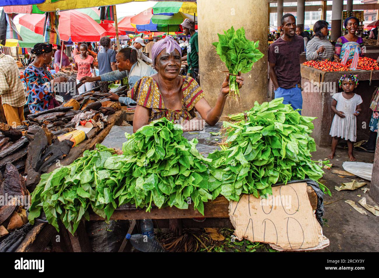 Congo brazzaville agriculture hi-res stock photography and images - Alamy
