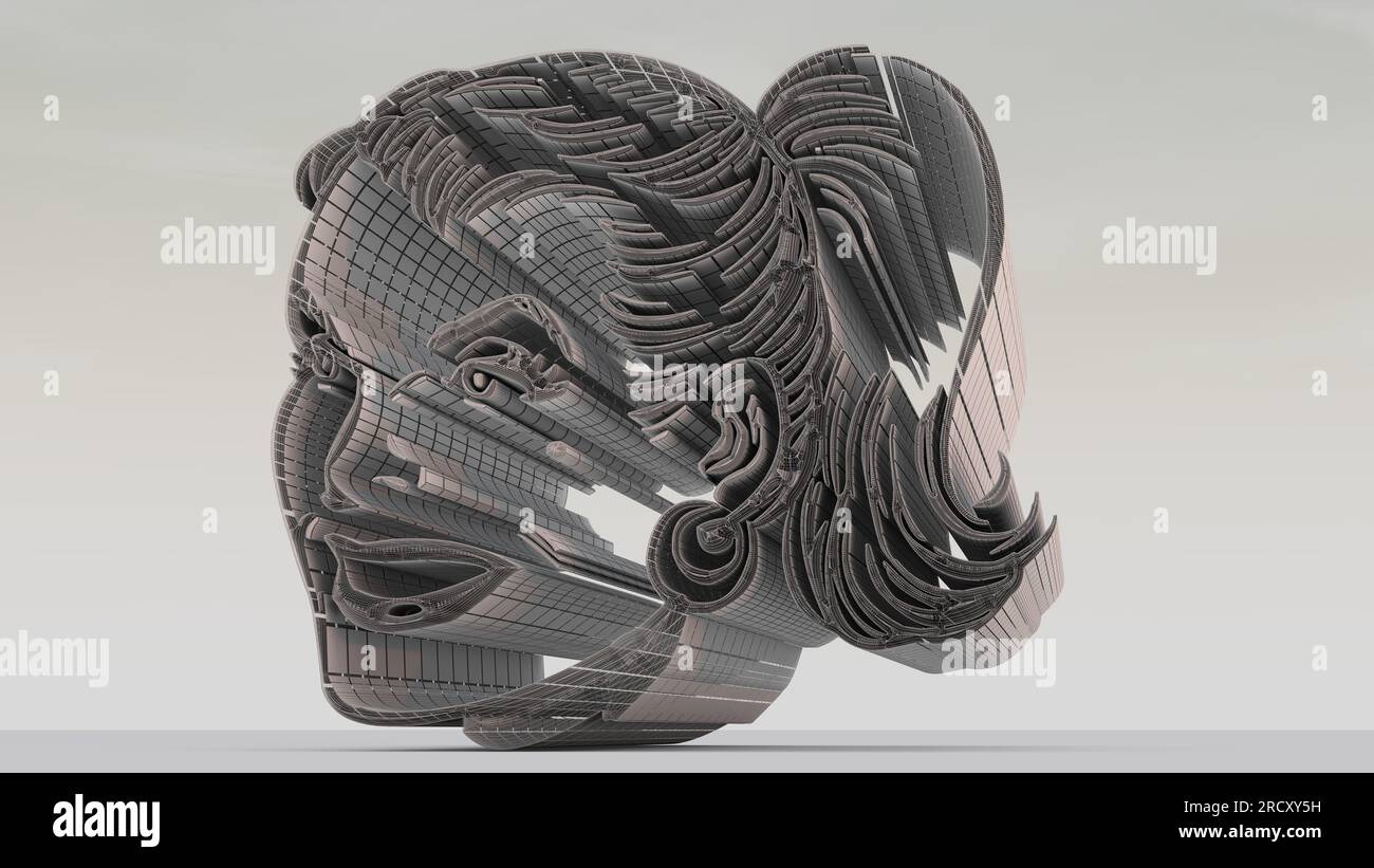 3D architectural illustrated representation of a woman's face ...