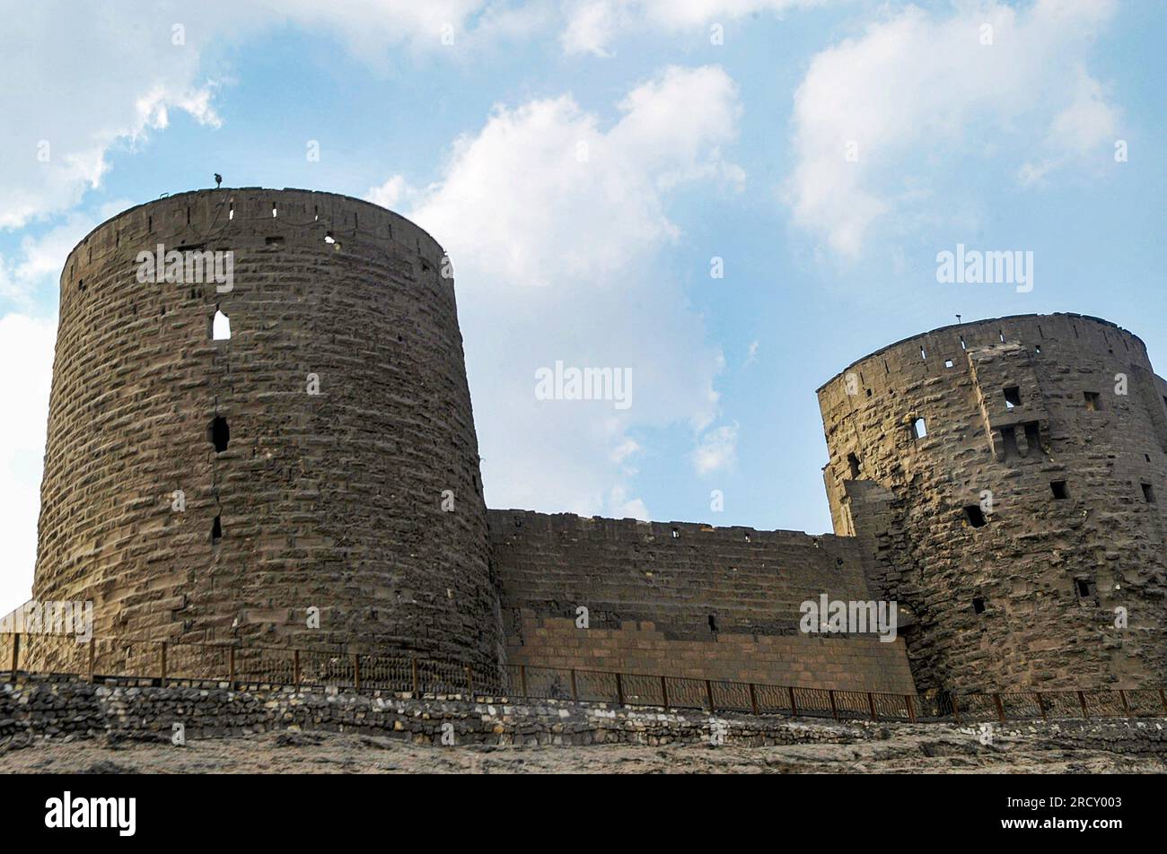 Cairo Citadel, January 24, 2011. Cairo Citadel, January 24, 2011 Stock ...
