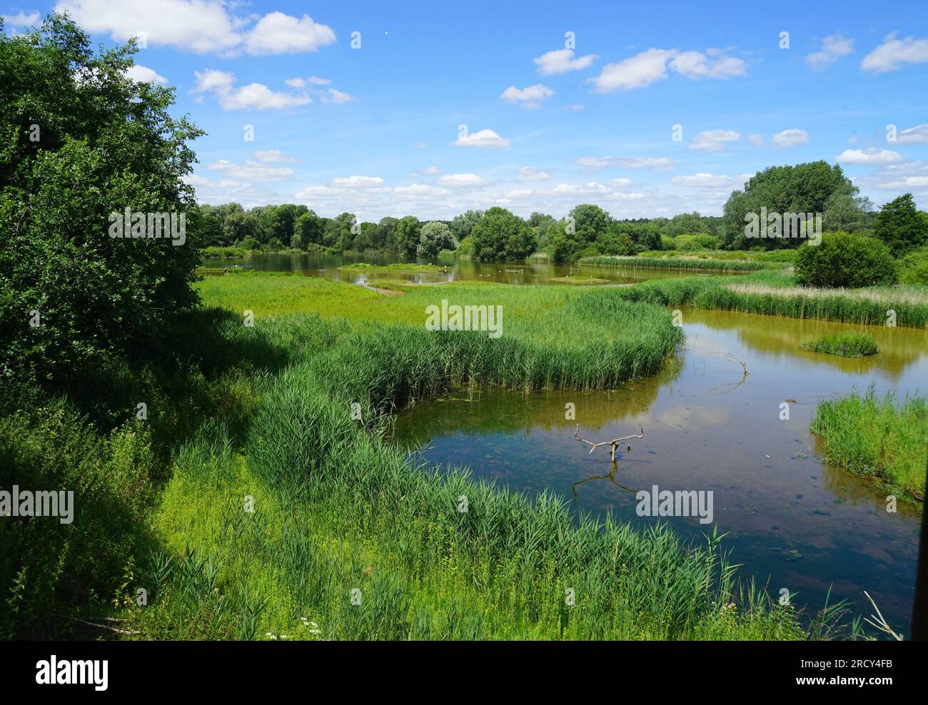 Suffolk nature reserve hi-res stock photography and images - Alamy