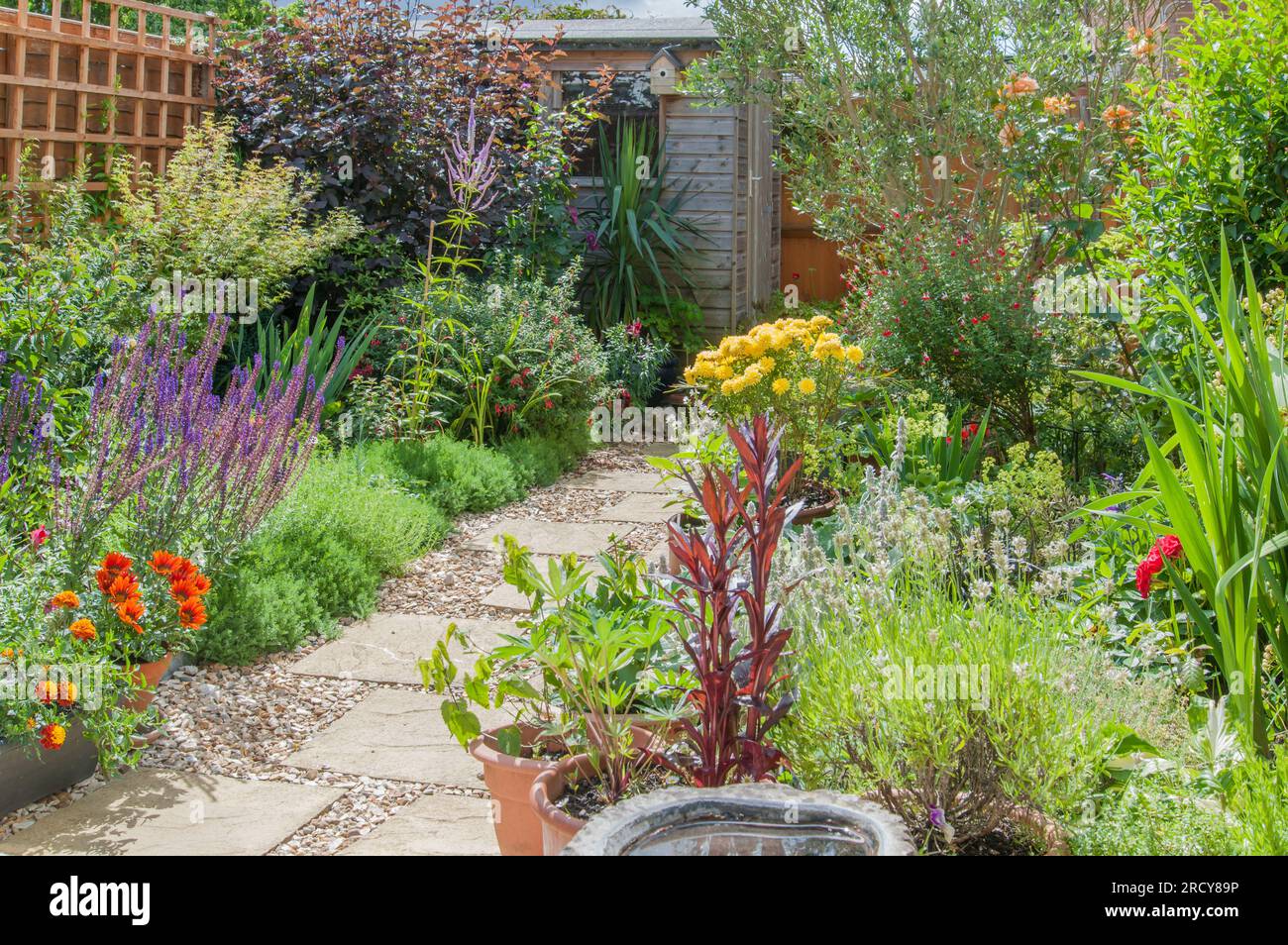 Well planted small back garden with large borders and lawn free Stock ...