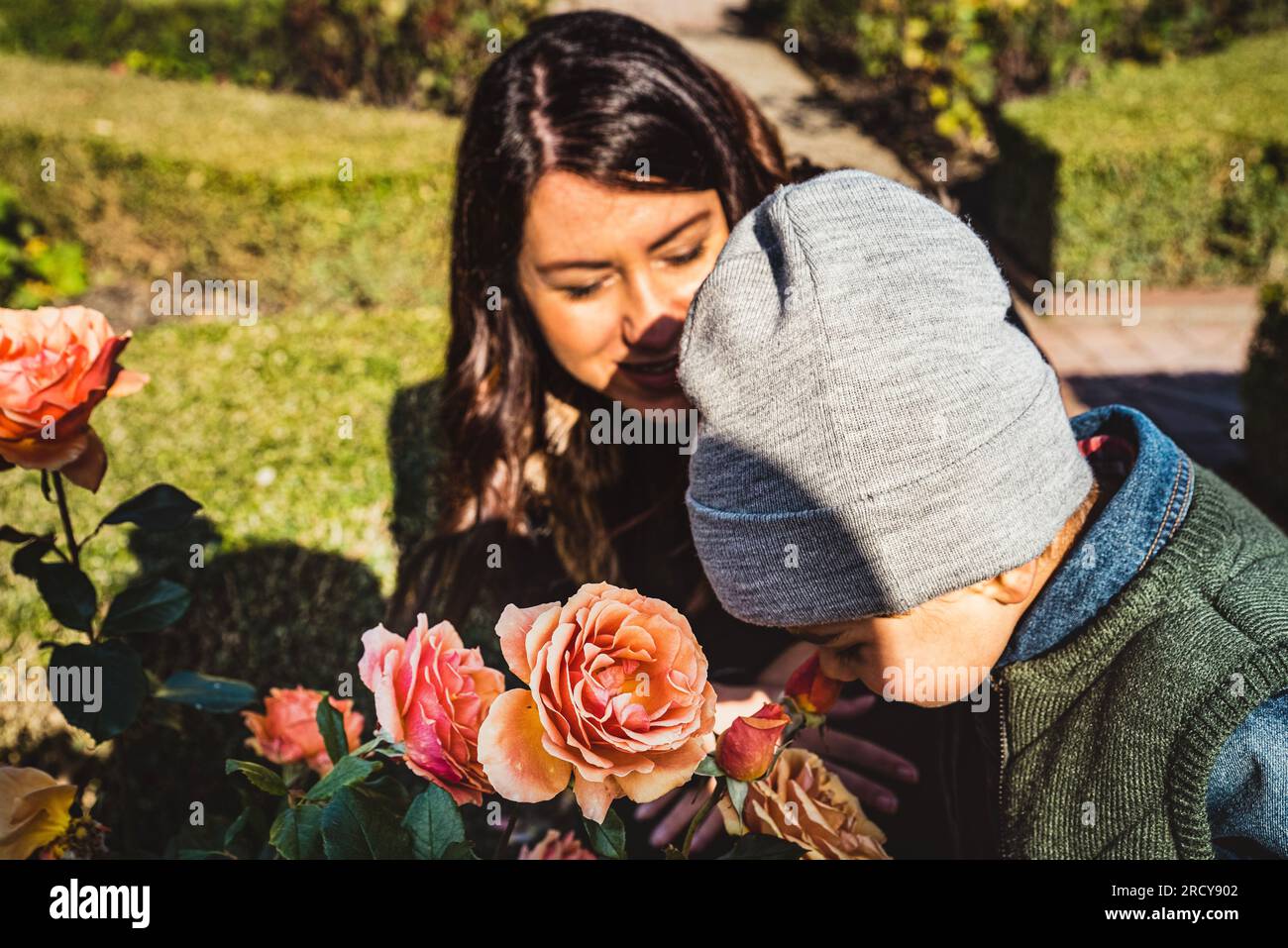 Small kid smelling a rose with mom. Child with his mother sniffing ...