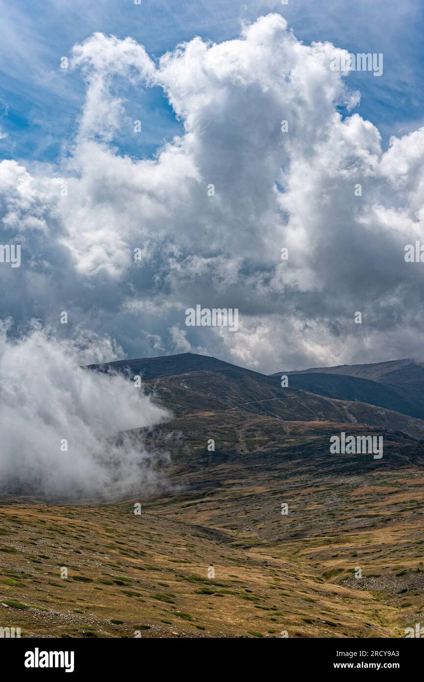 Voras hi-res stock photography and images - Alamy