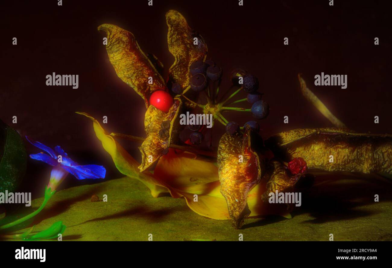 Dreamlike paintings hi-res stock photography and images - Alamy