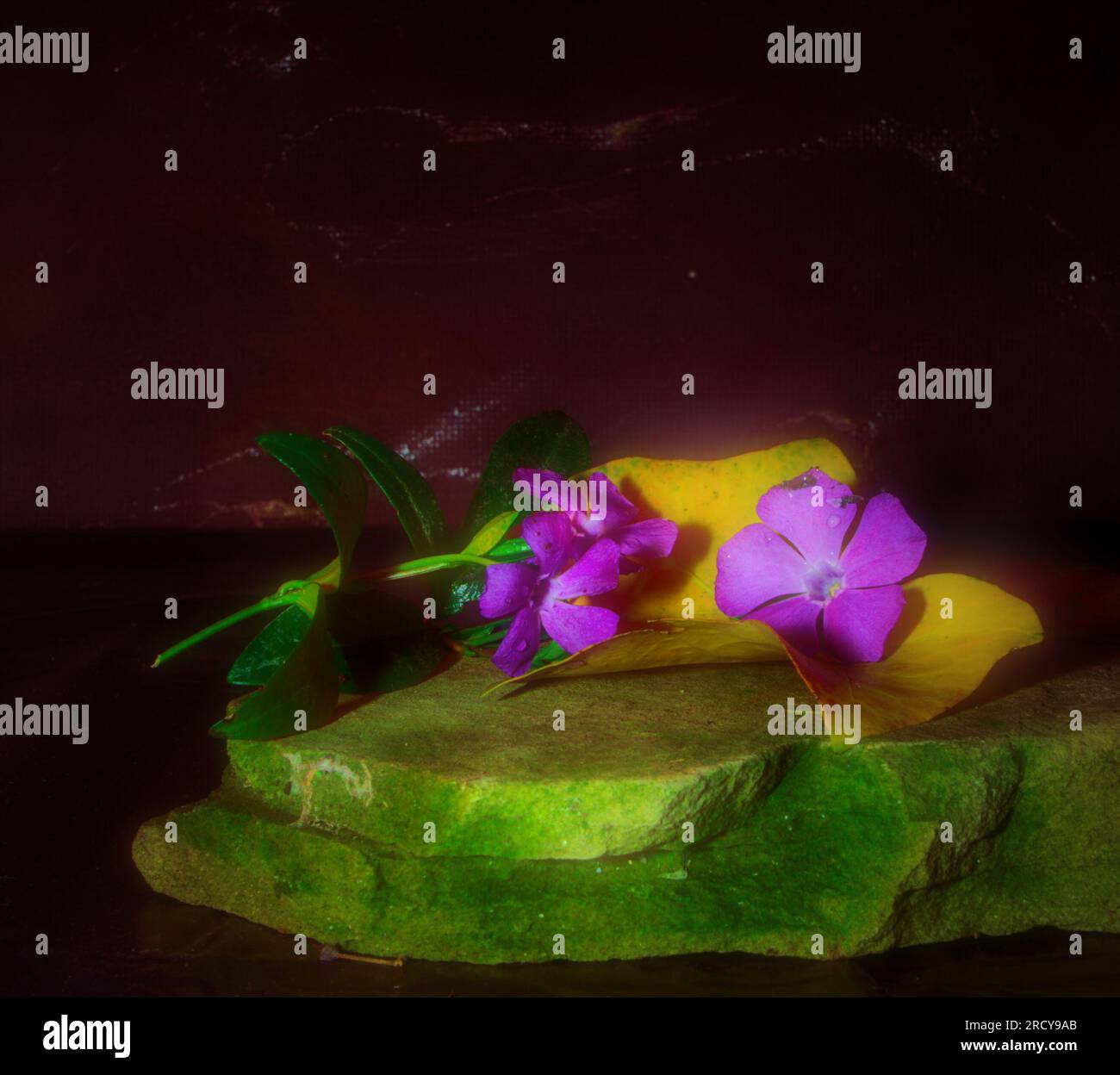 Dreamlike paintings hi-res stock photography and images - Alamy