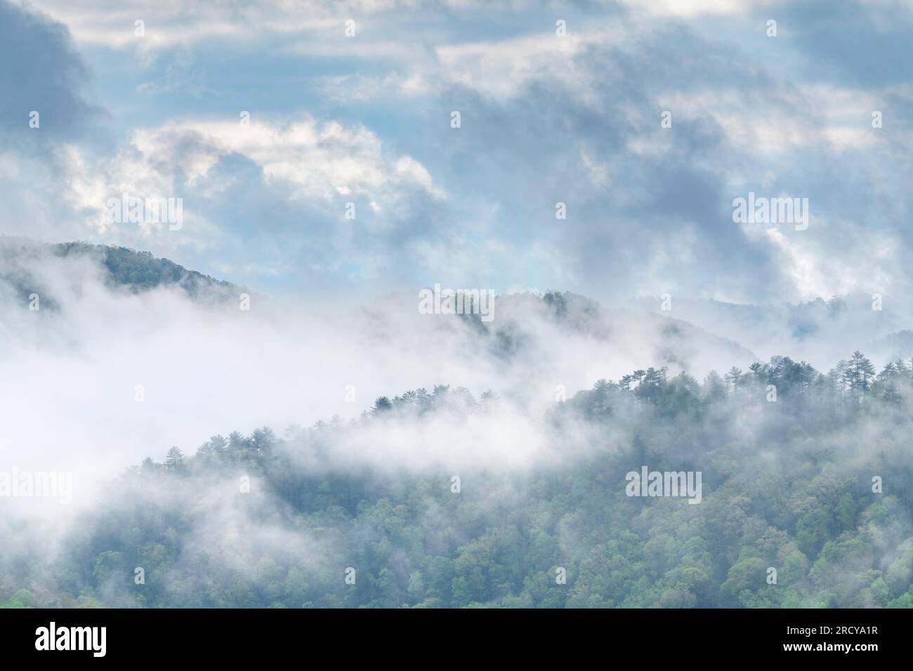 Morning condensation and heavy fog over Great Smoky Mountains National ...