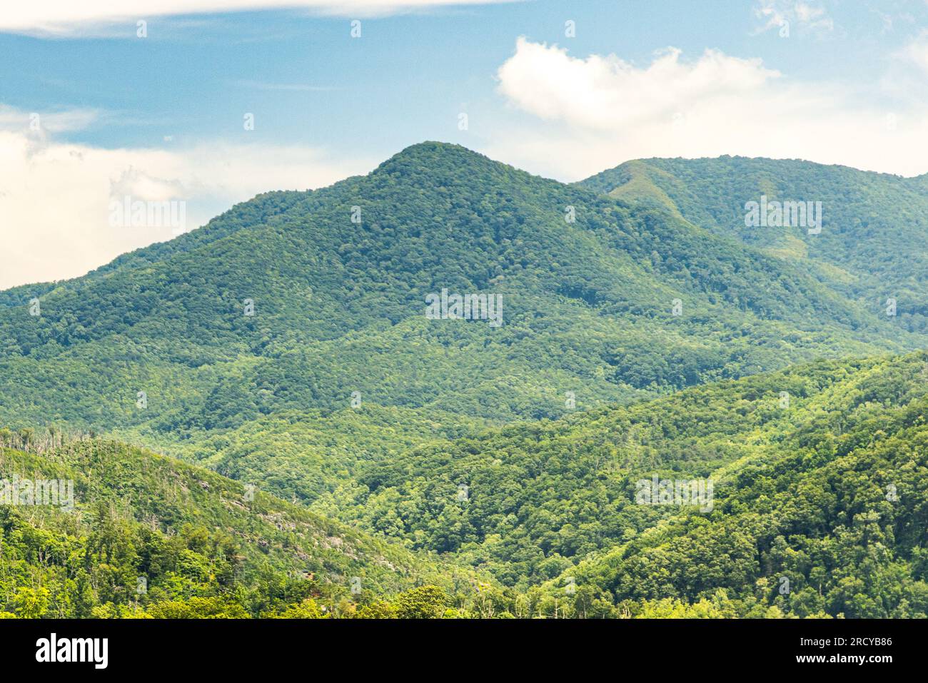 Smokey nature hi-res stock photography and images - Alamy