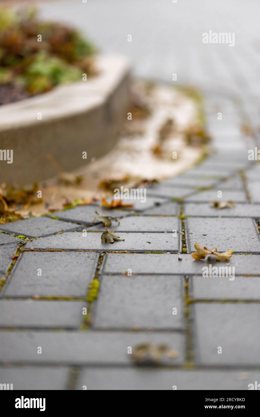 High quality cobblestone road hi-res stock photography and images - Alamy