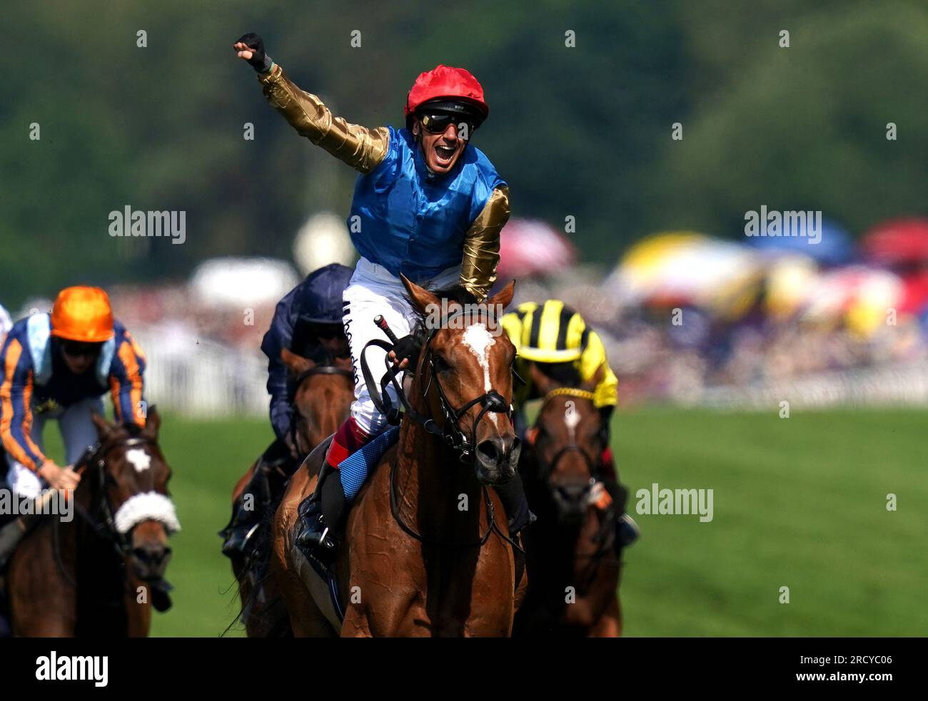 Wathnan racing horse hi-res stock photography and images - Alamy