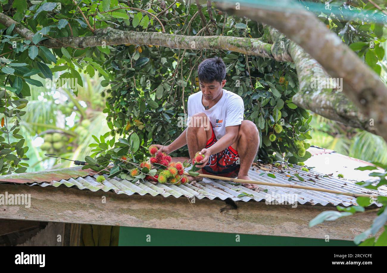 Philippines fruits dealer hi-res stock photography and images - Alamy