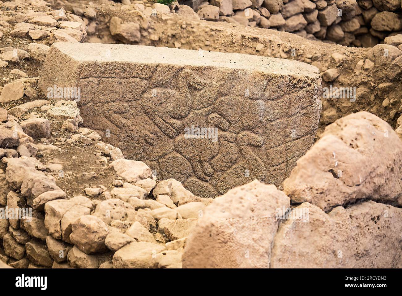 An archaeological surprise Stock Photo - Alamy