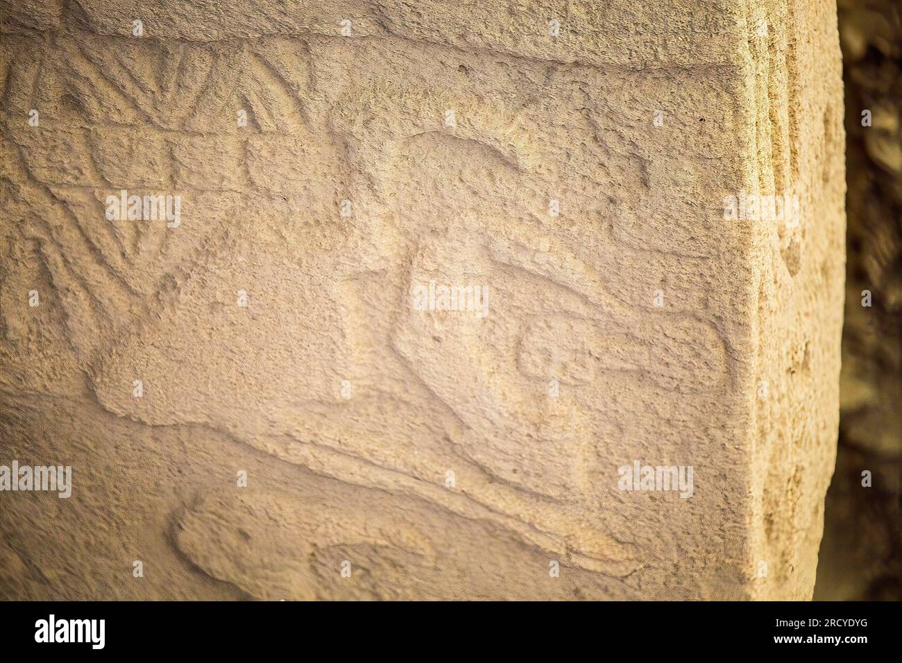 An archaeological surprise Stock Photo - Alamy