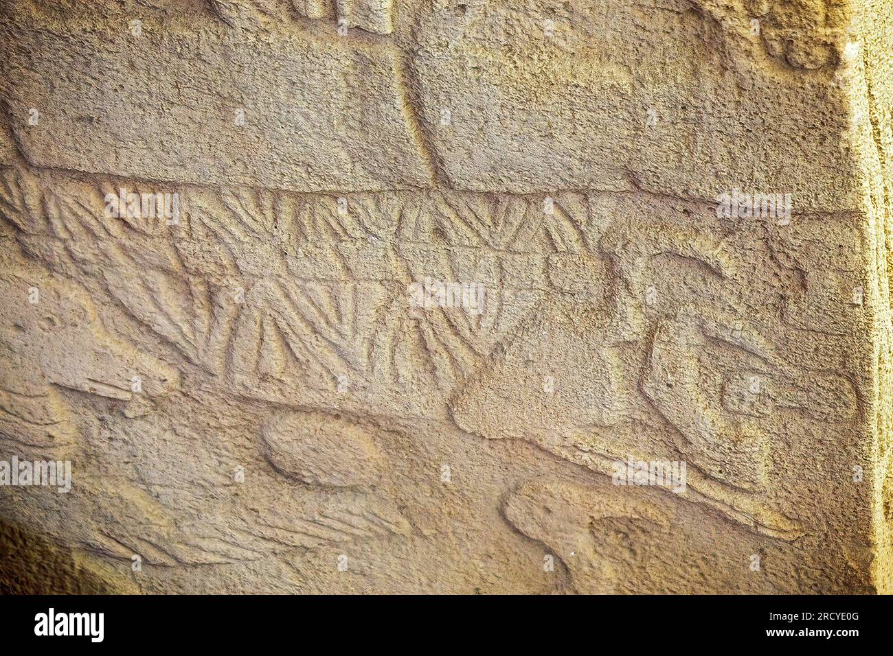 An archaeological surprise Stock Photo - Alamy