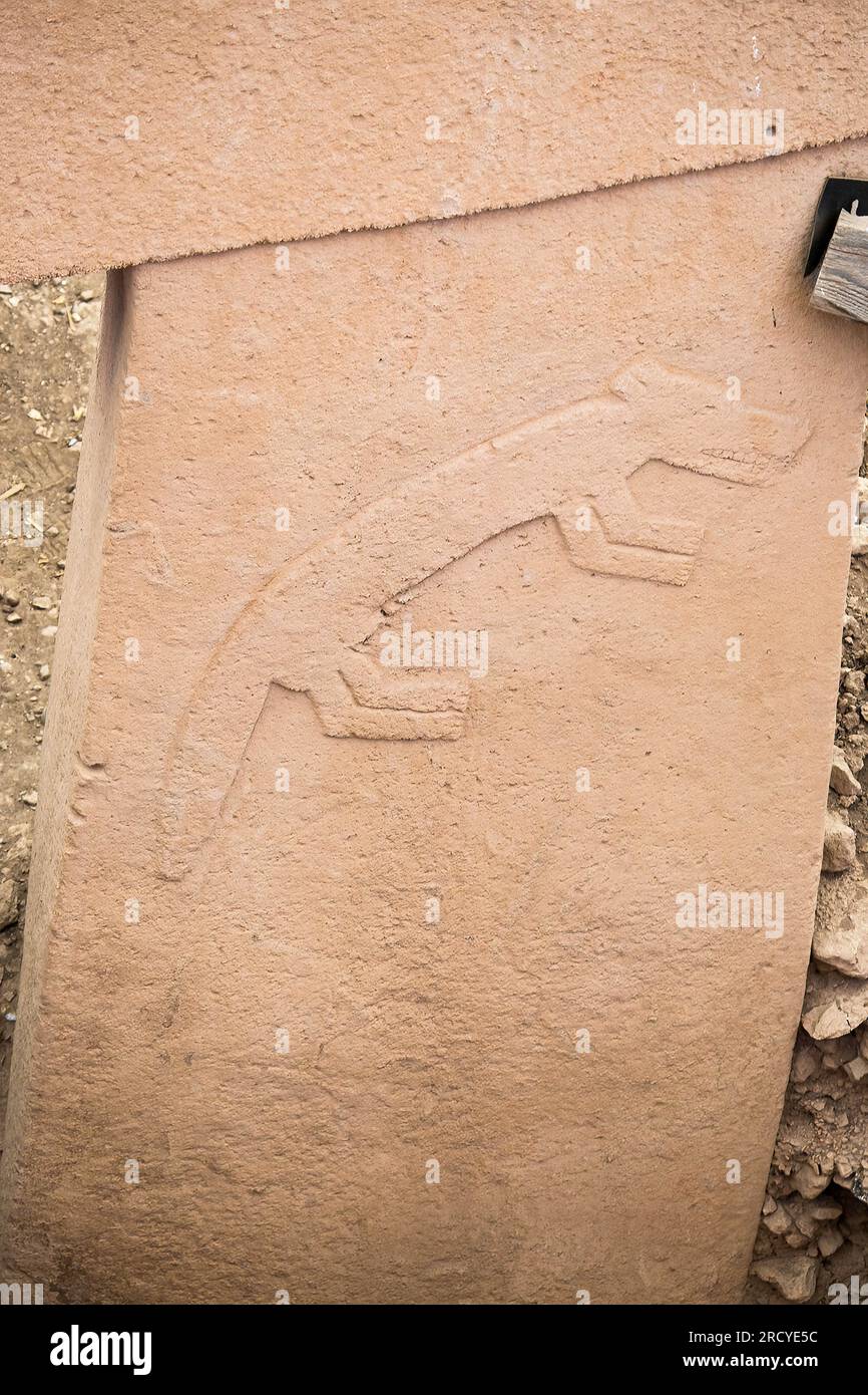 An archaeological surprise Stock Photo - Alamy