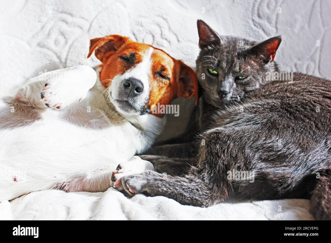 Lie guards hi-res stock photography and images - Alamy