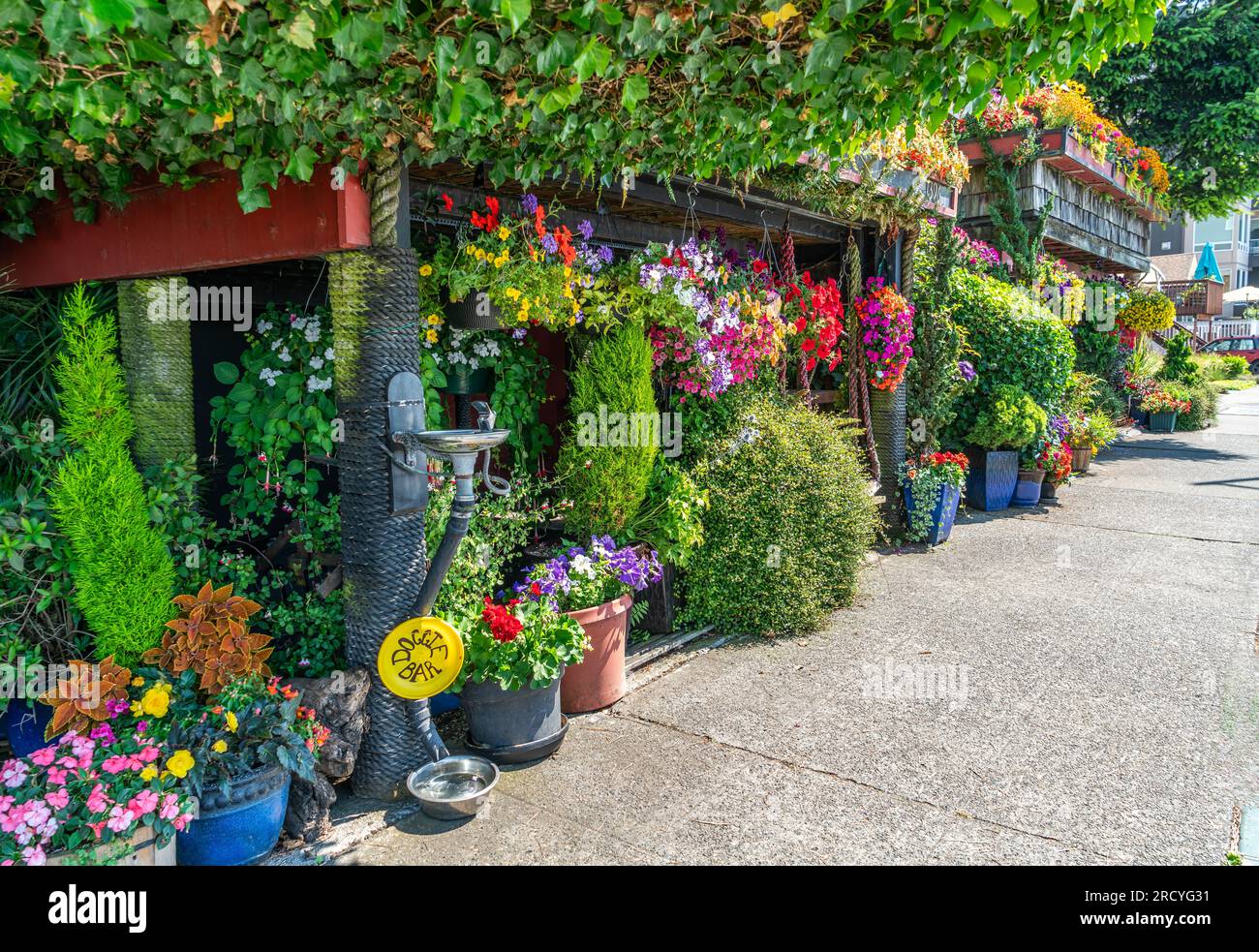 A house with many flowers on display in West Seattle, Washington Stock ...