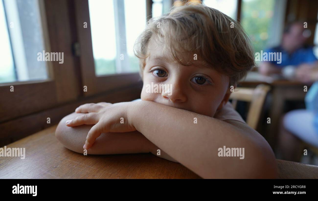 Cute little boy leaning on restaurant table with arms crossed looking ...