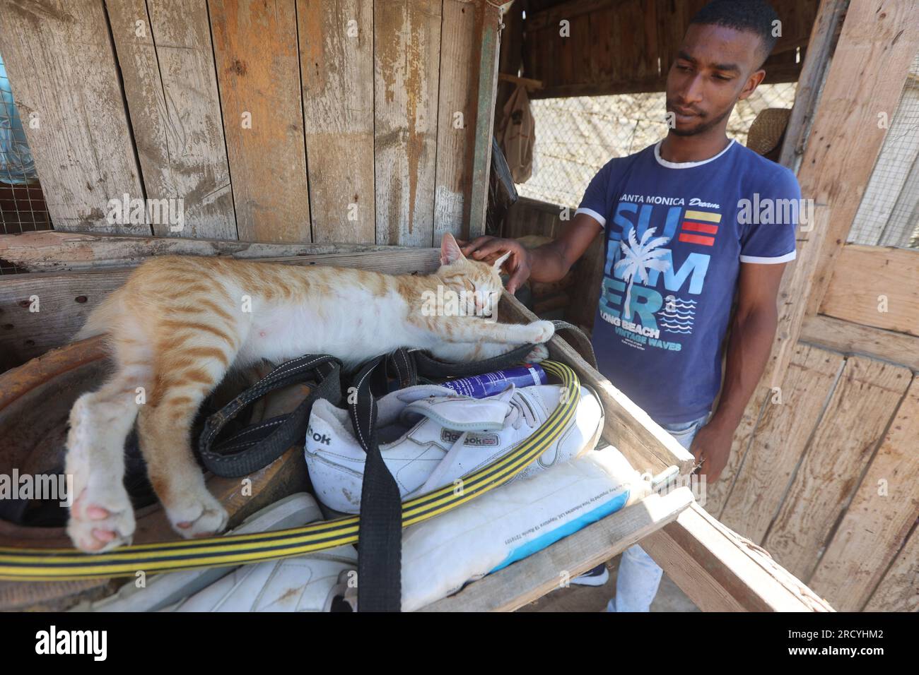 Gaza, Palestine. 17th July, 2023. A Palestinian man cools off a cat in ...
