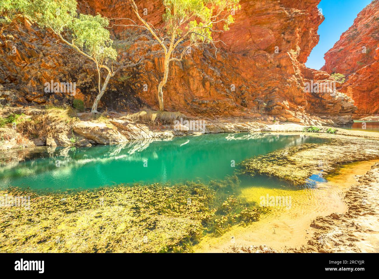 Ellery Creek Big Hole, a waterhole in a gorge surrounded by high red ...