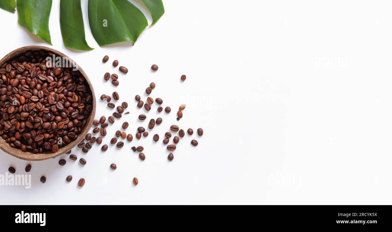 Roasted coffee beans in a coconut bowl and monstera leaf on a white ...