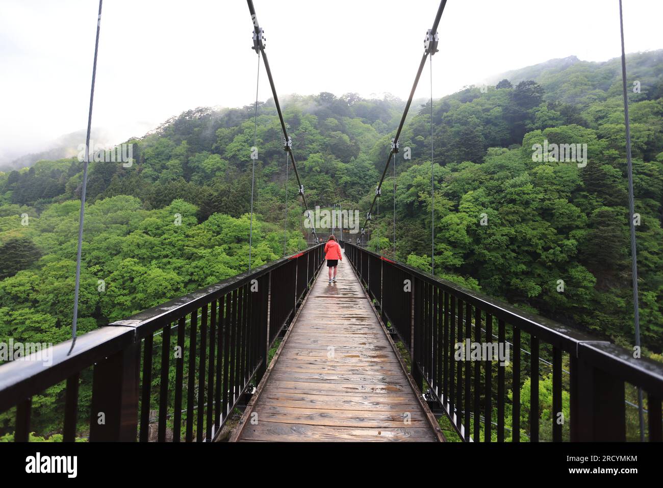 girl walk through the suspension bridge in kinugawa onsen Stock Photo ...
