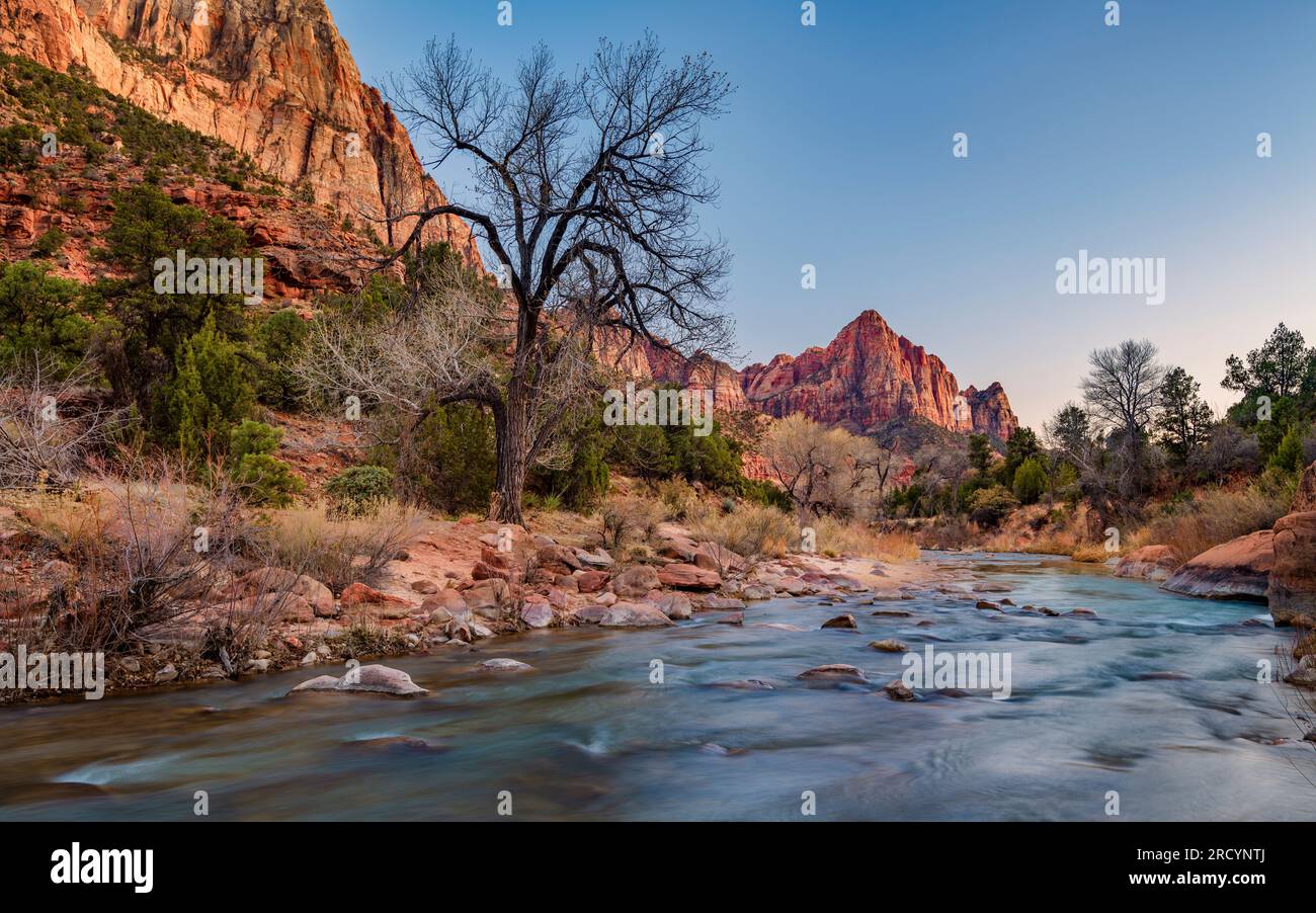The Watchman and the Virgin River Valley in Zion National Park, Utah ...
