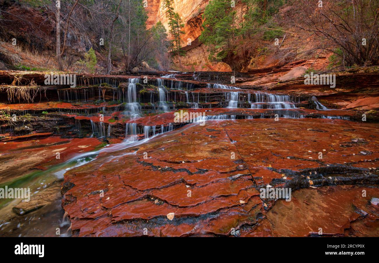 Archangel activities hi-res stock photography and images - Alamy
