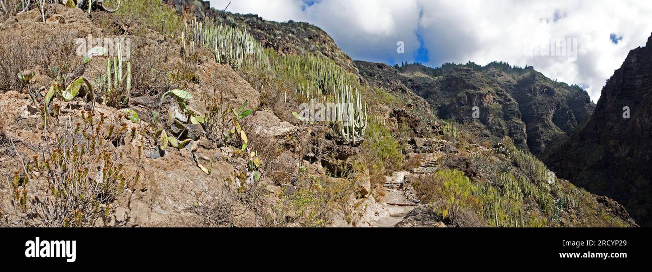Tenerife riddle hi-res stock photography and images - Alamy