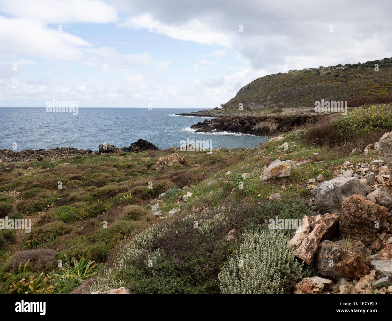 View of wild flower coastline, near Plakias, South West Crete Stock ...