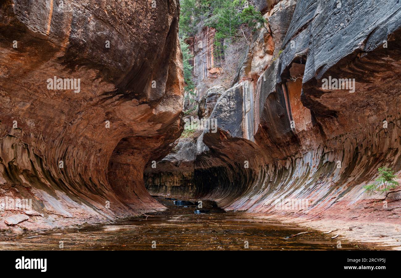 Zion park subway hi-res stock photography and images - Alamy
