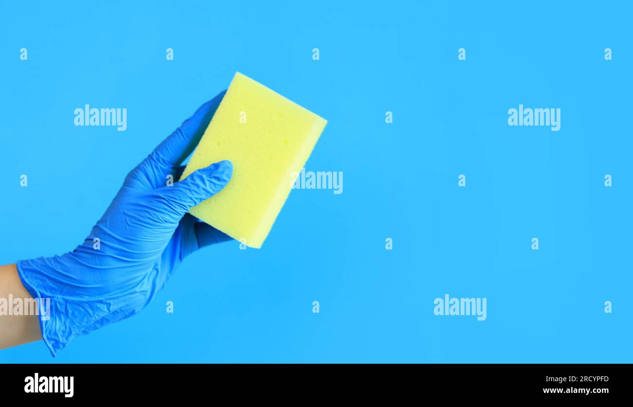 Sponge for washing dishes in a female hand on a blue background. A hand ...