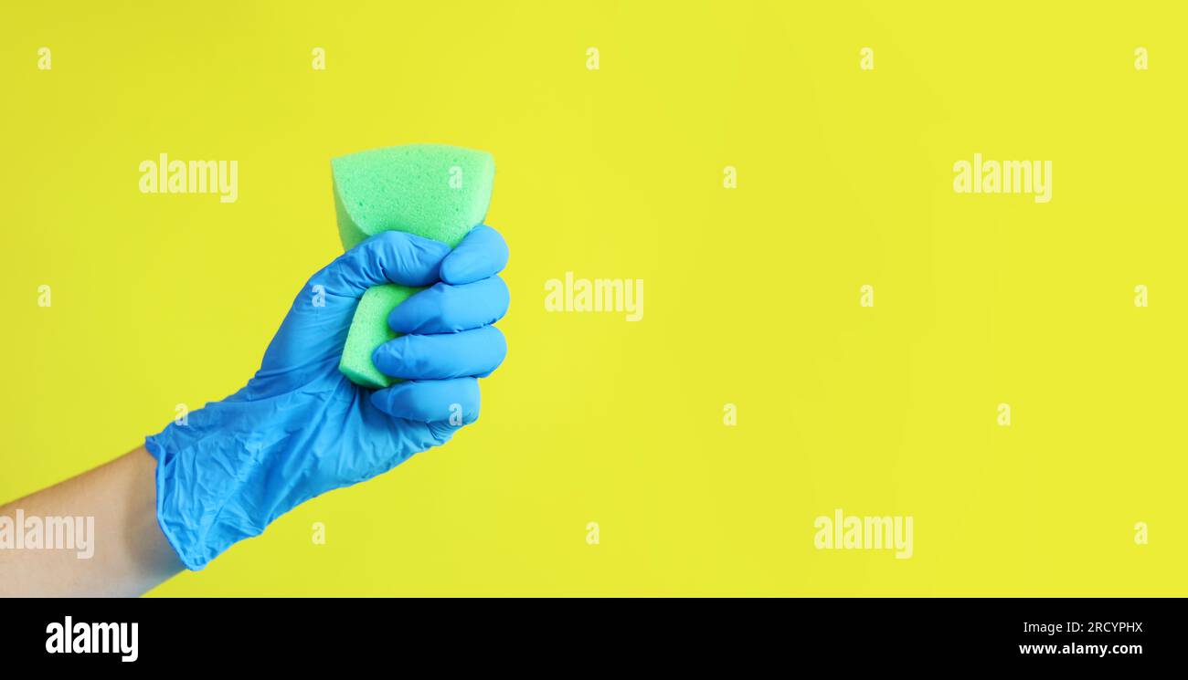 A woman's hand in a blue glove squeezes a sponge for washing dishes ...