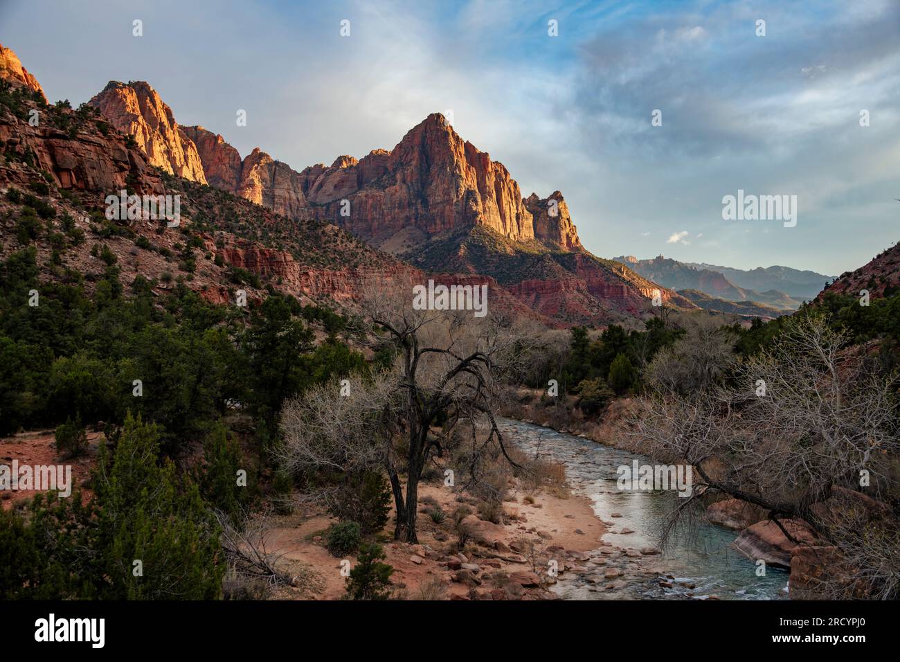 The Watchman and Virgin River in Zion National Park, Utah, USA Stock ...