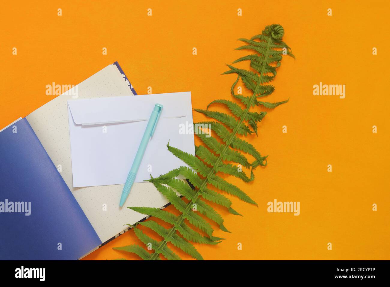 An open diary for notes, a white envelope, a pen and a fern leaf on a ...