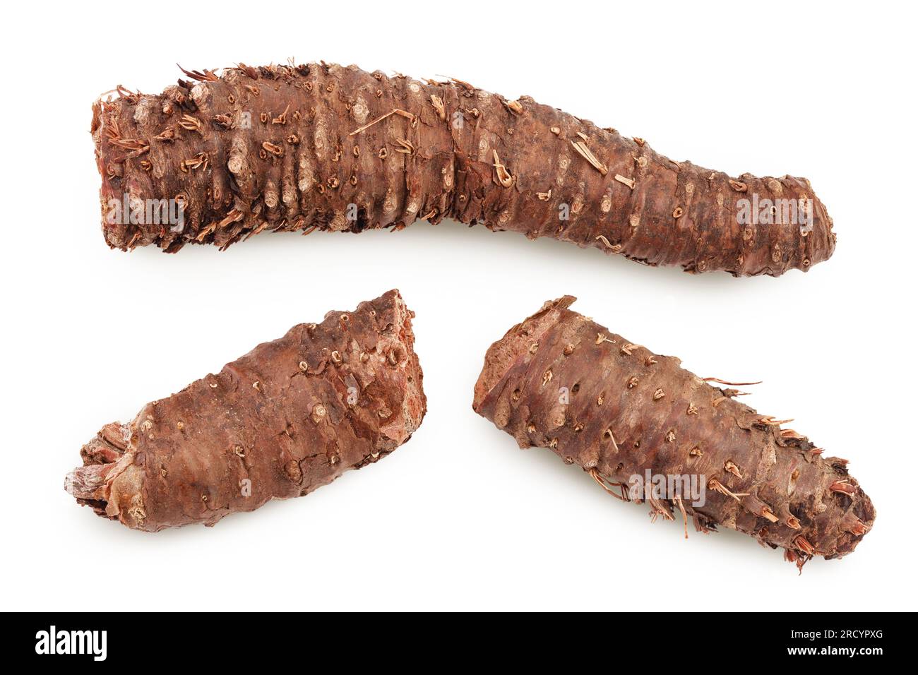 Rhodiola rosea root isolated on white background. Top view. Flat lay ...