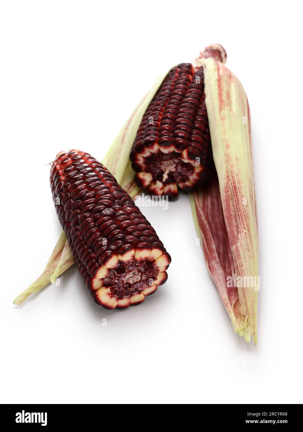 Burgundy color sweet corn isolated on white background Stock Photo - Alamy